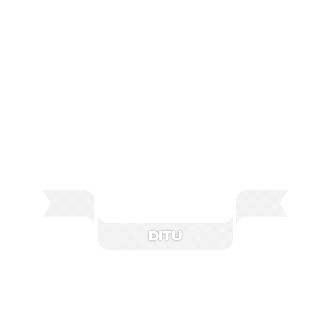 DITU ACM Student Chapter